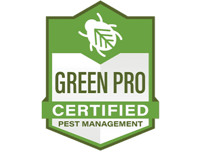 Pest Control in Olympia | Olympia Pest Management